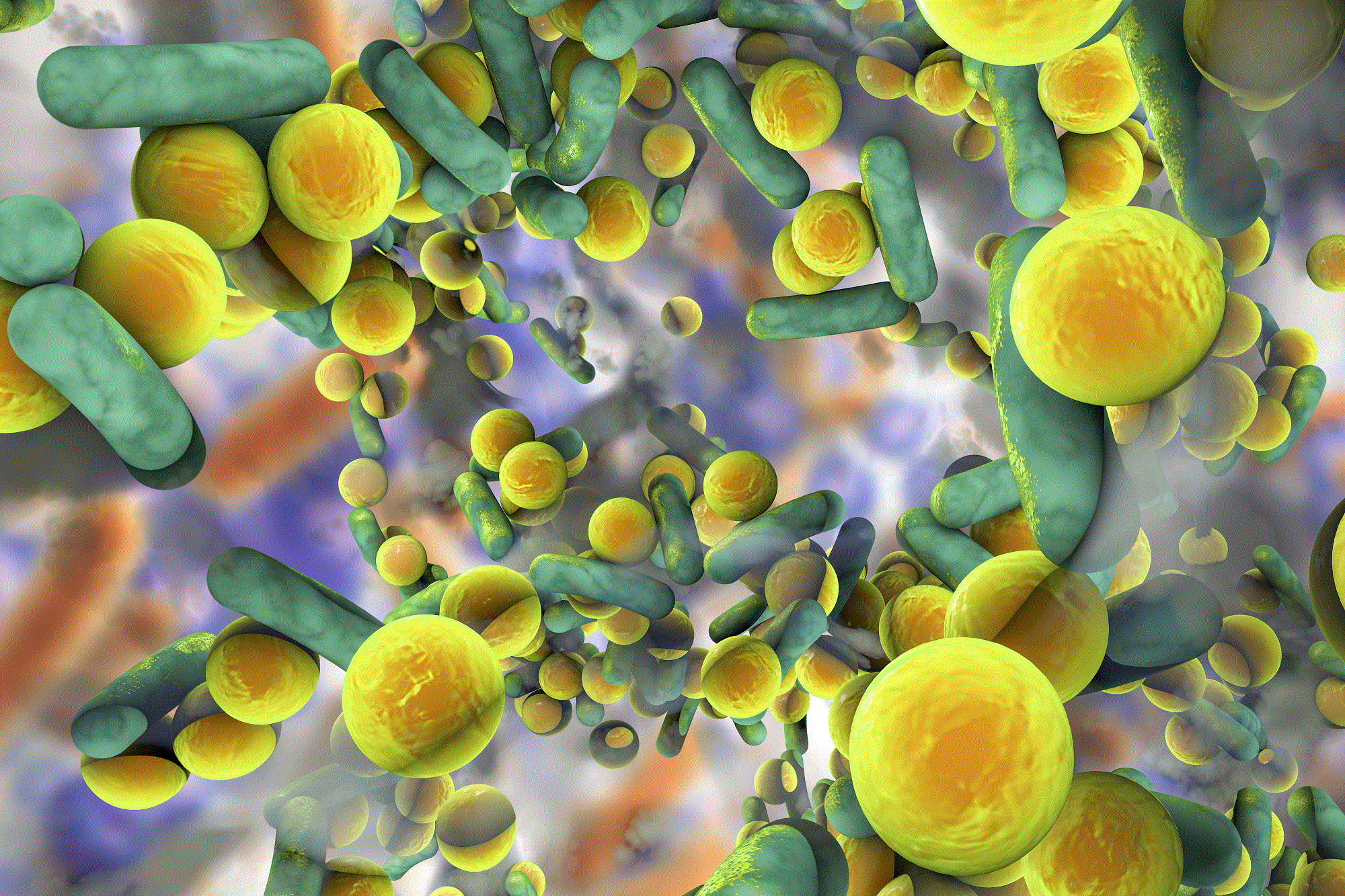 Understanding antimicrobial resistance - Tec-Safe